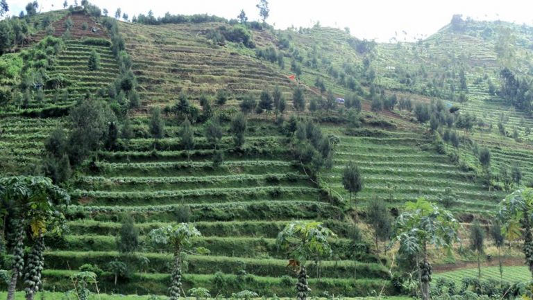 16 Bentuk- bentuk Permukaan Bumi Daratan dan Perairan - IlmuGeografi.com