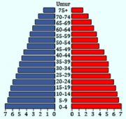 Piramida Penduduk: Pengertian - Macam - Fungsinya - IlmuGeografi.com